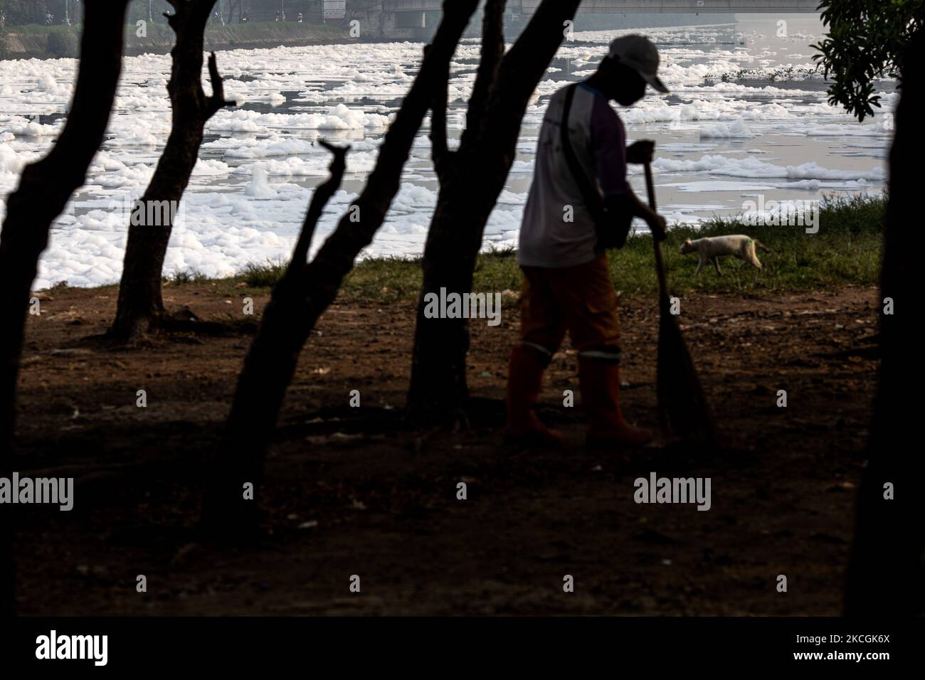 A polluted river in the East Jakarta Bantar Canal, in Jakarta ...