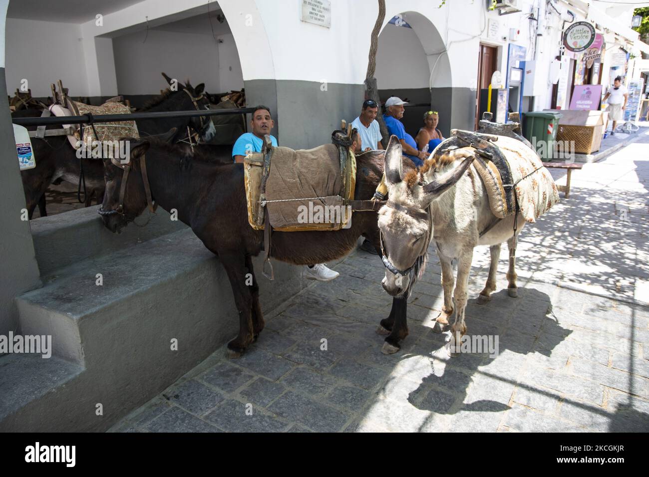 Donkeys in Lindos on the island of Rhodes, Greece on June 27, 2021 ...