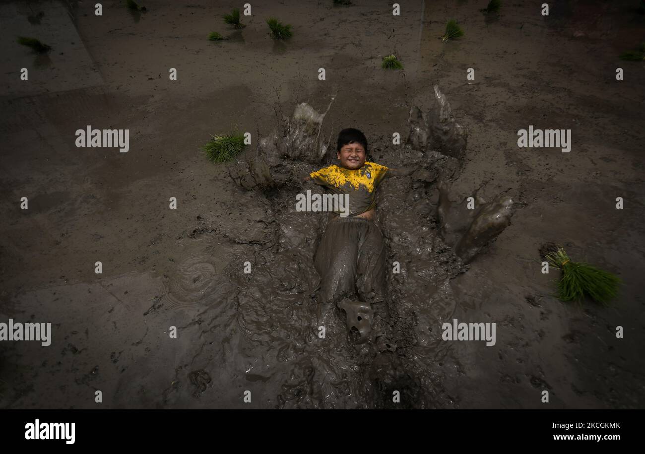 Nepalese People play in the mud as they plant rice saplings during ...