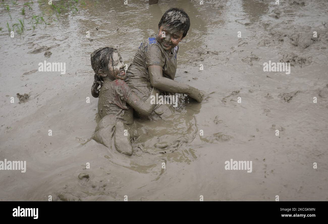Nepalese People play in the mud as they plant rice saplings during ...