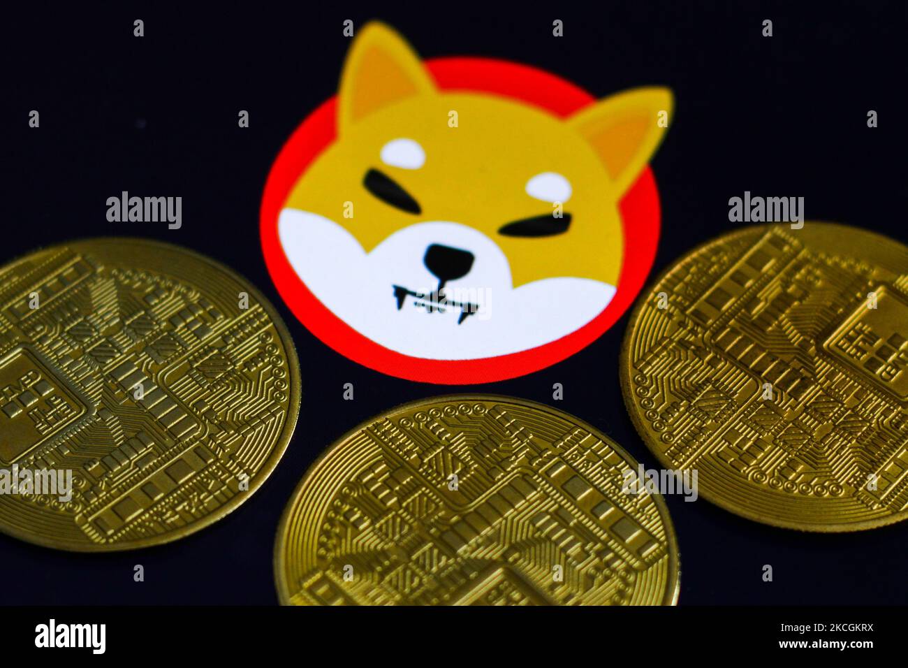 Shiba inu coin logo hi-res stock photography and images - Alamy