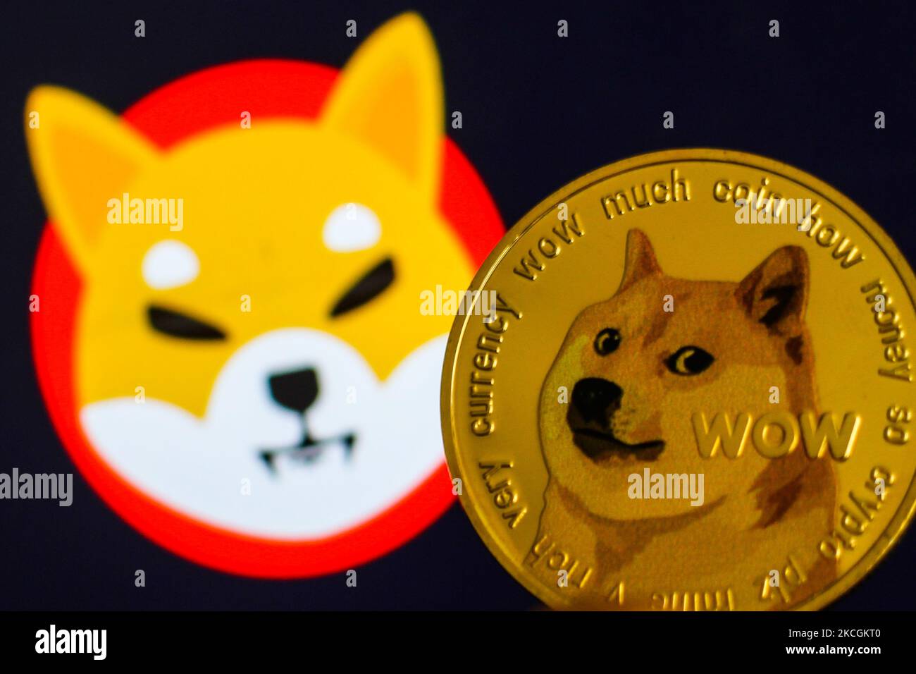 Shiba inu coin logo hi-res stock photography and images - Alamy