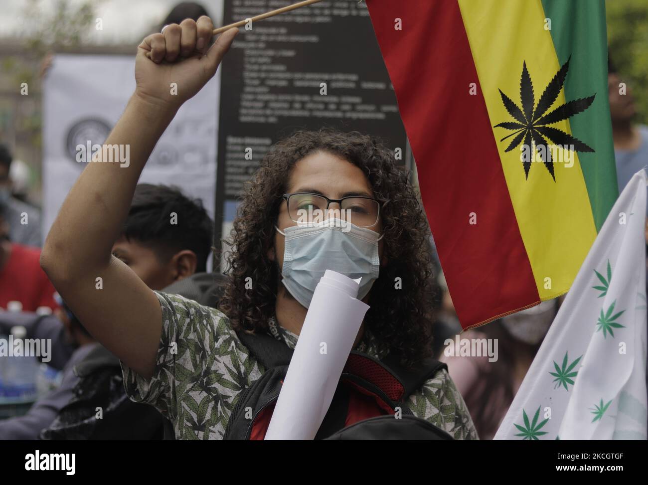 Planton 420 hi-res stock photography and images - Alamy