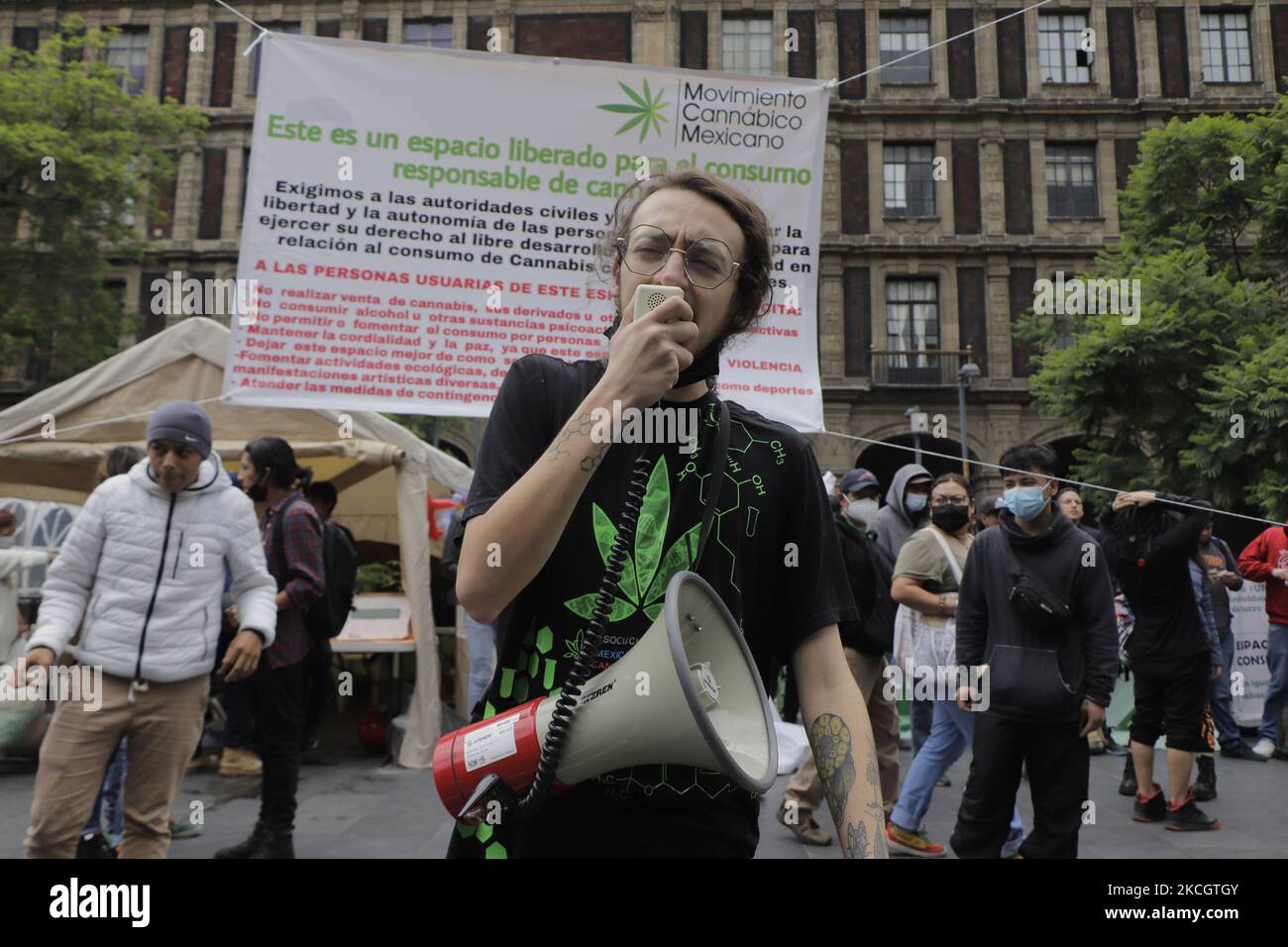 Members of Plantón 420 and the Mexican Cannabis Movement demonstrated ...