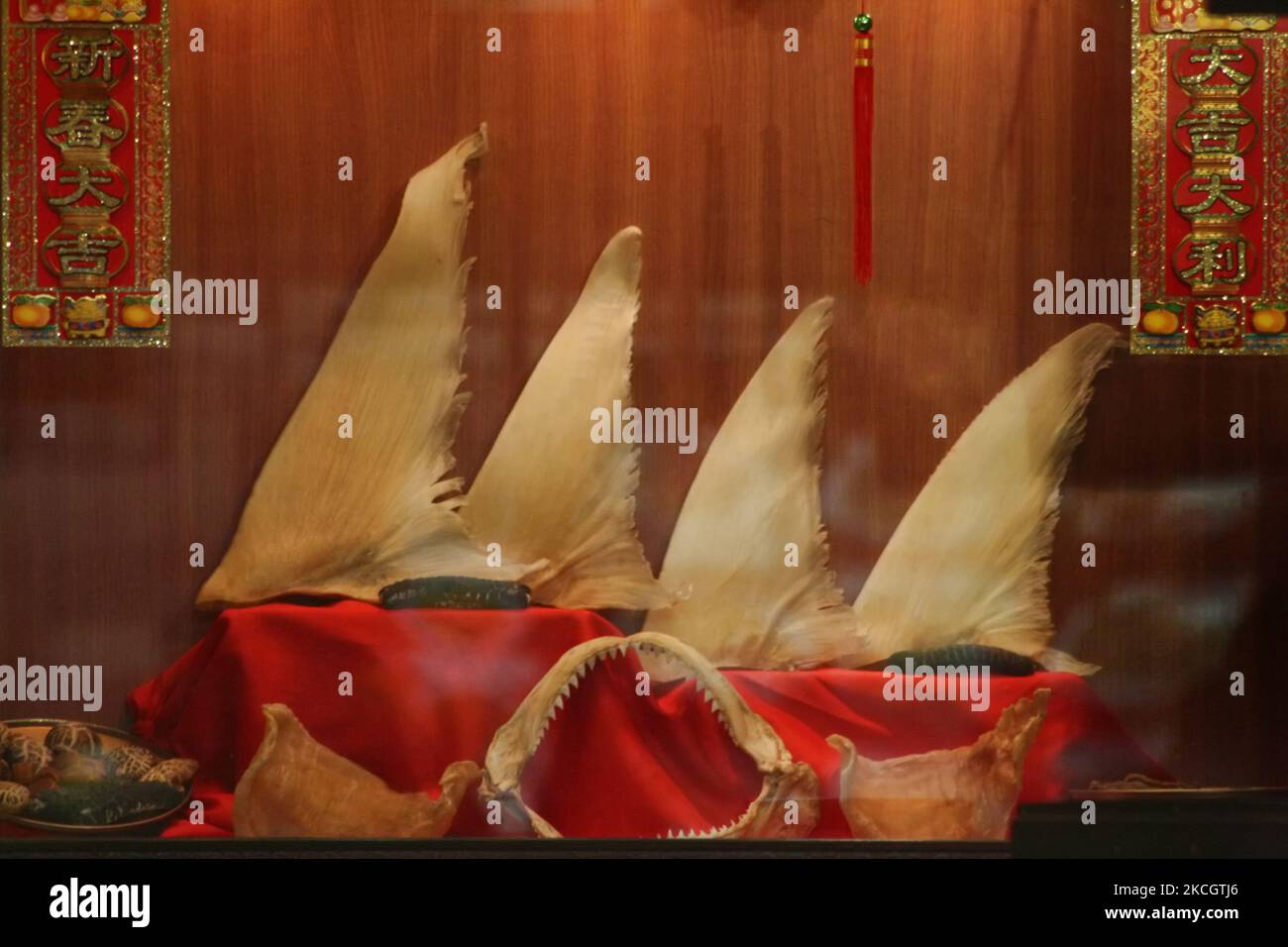 Shark fins and a shark jaw on display at a Chinese restaurant in ...