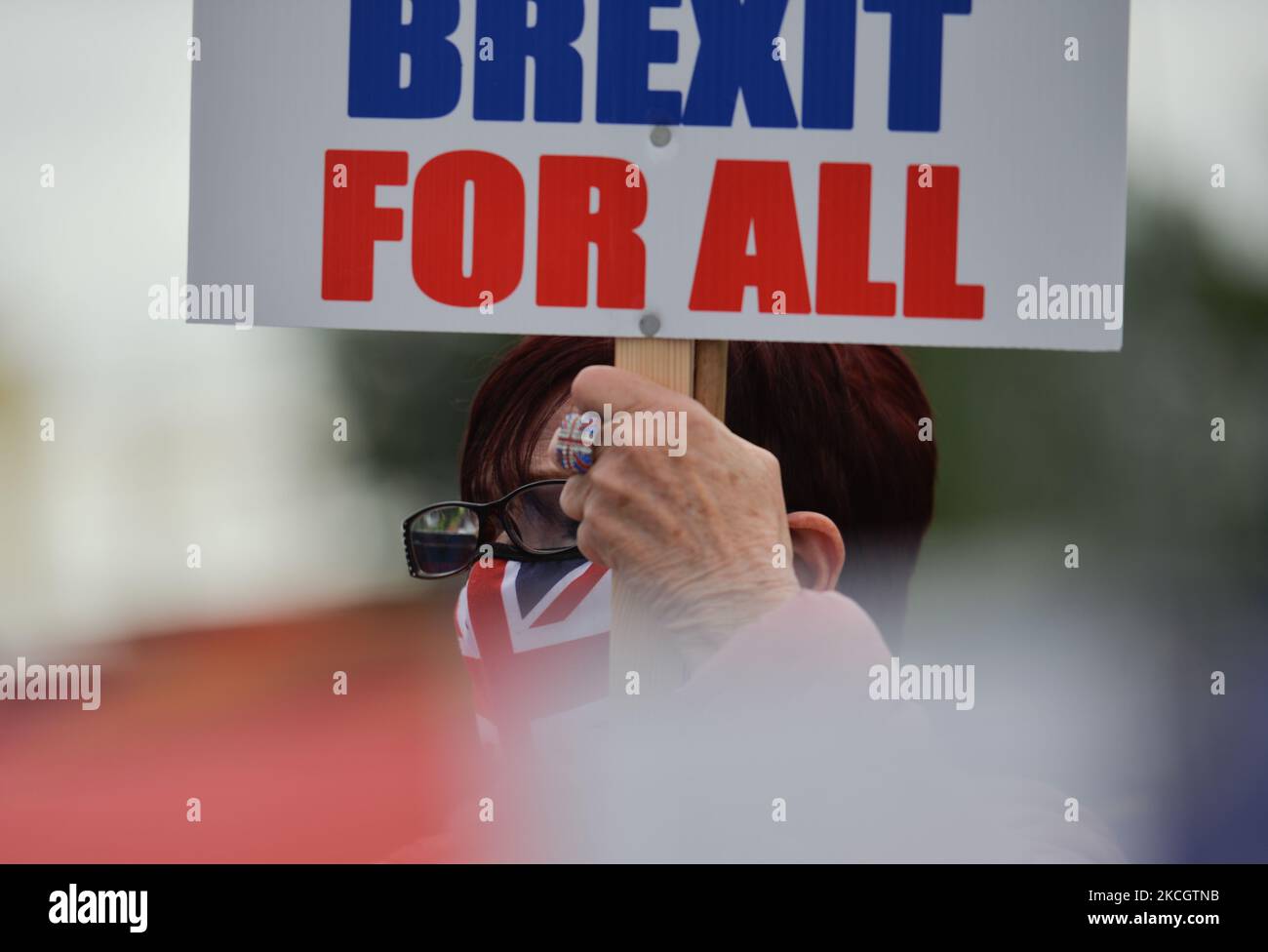 A Loyalist holds a placard with words '(British Citizens Demend) Brexit ...