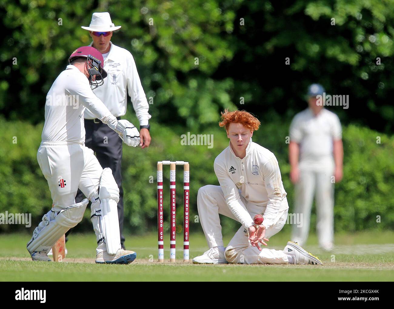 Elliot foto hi-res stock photography and images - Alamy