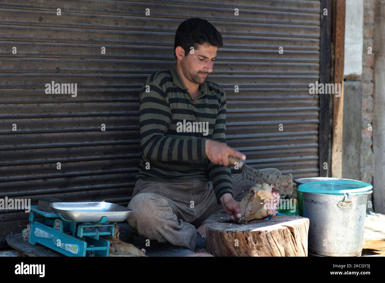 Kashmiri butcher cuts open a sheep's head with a large cleaver along ...