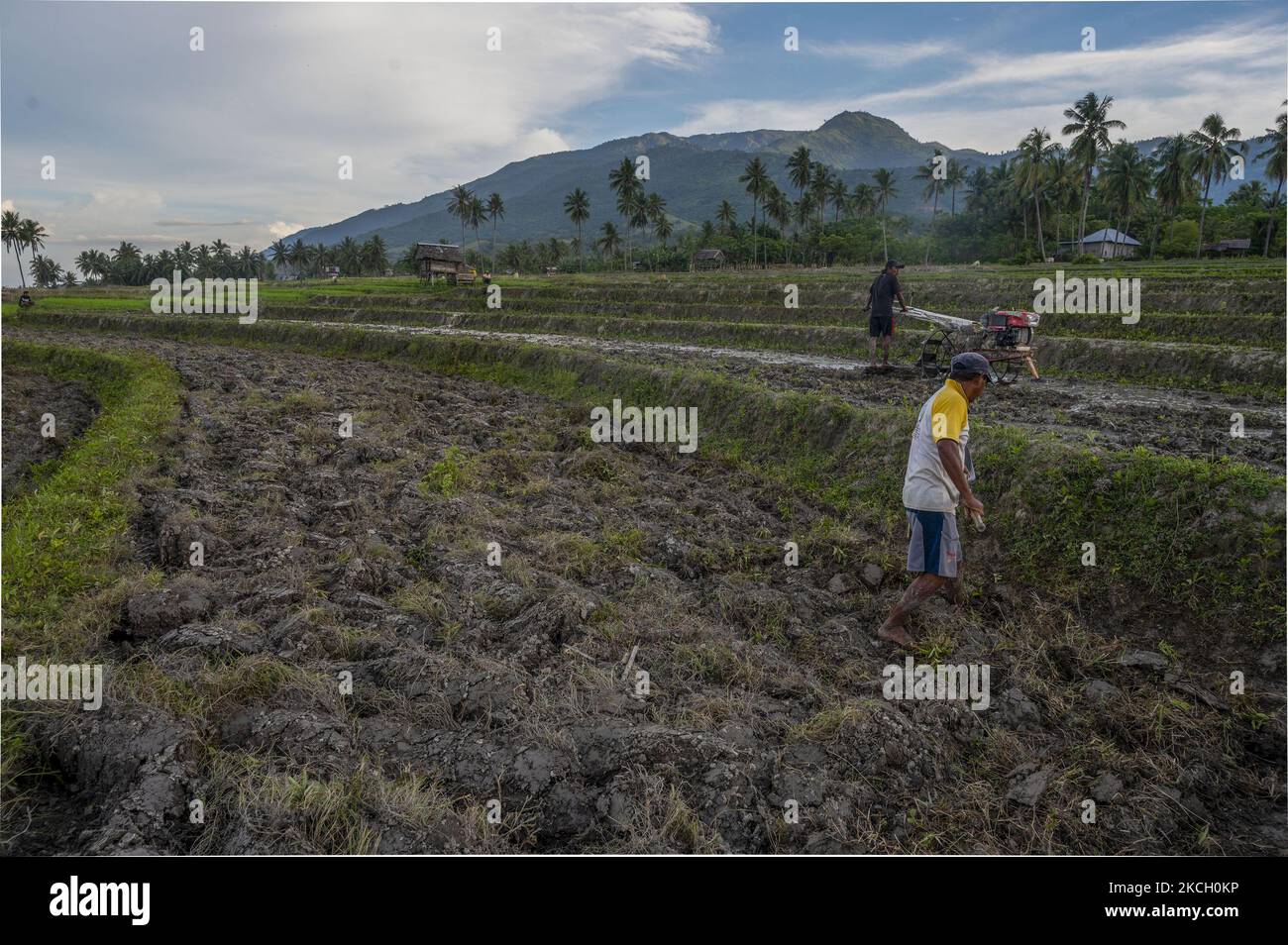 Government programs for farmers hi-res stock photography and images - Alamy