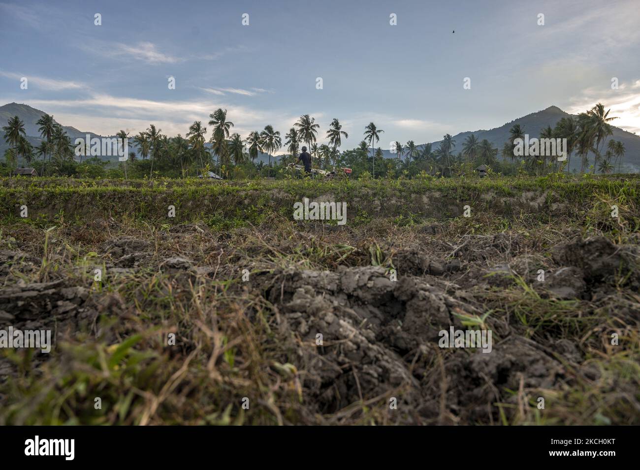 Rainfed agriculture hi-res stock photography and images - Alamy