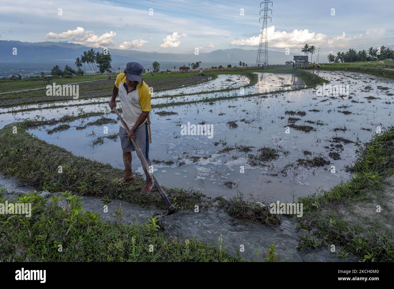 Rainfed lowland rice hi-res stock photography and images - Alamy