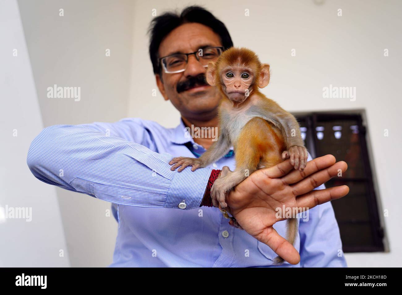 Snake on shoulder hi-res stock photography and images - Alamy