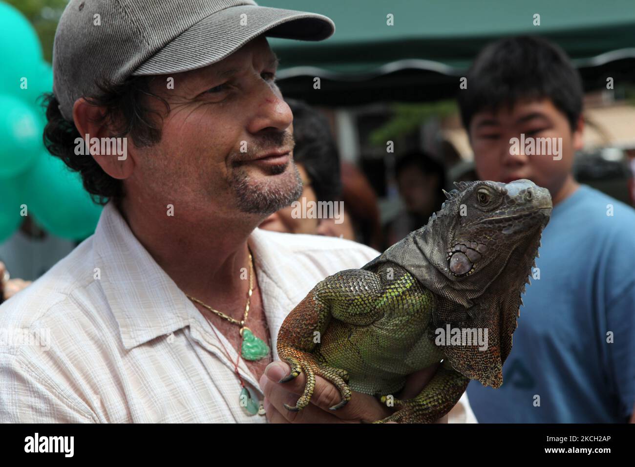Man shows off his pet iguana in Toronto, Ontario, Canada, on August 23 ...