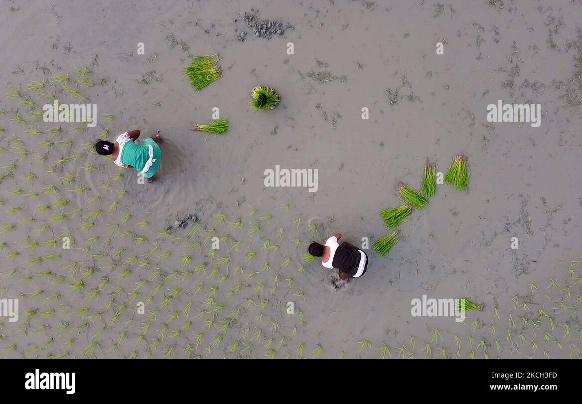 Baghmara village hi-res stock photography and images - Alamy