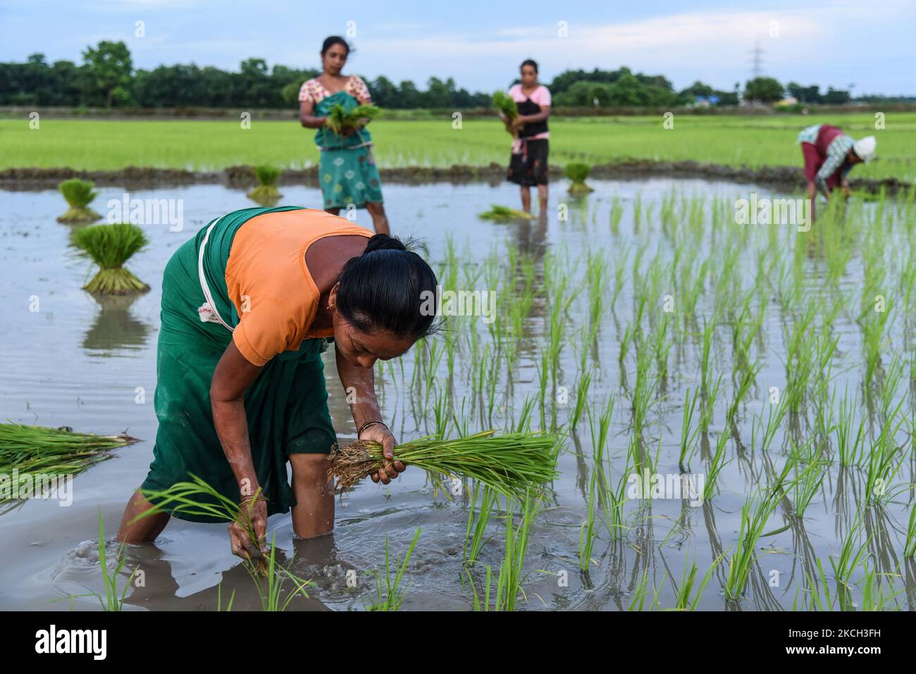Baghmara village hi-res stock photography and images - Alamy