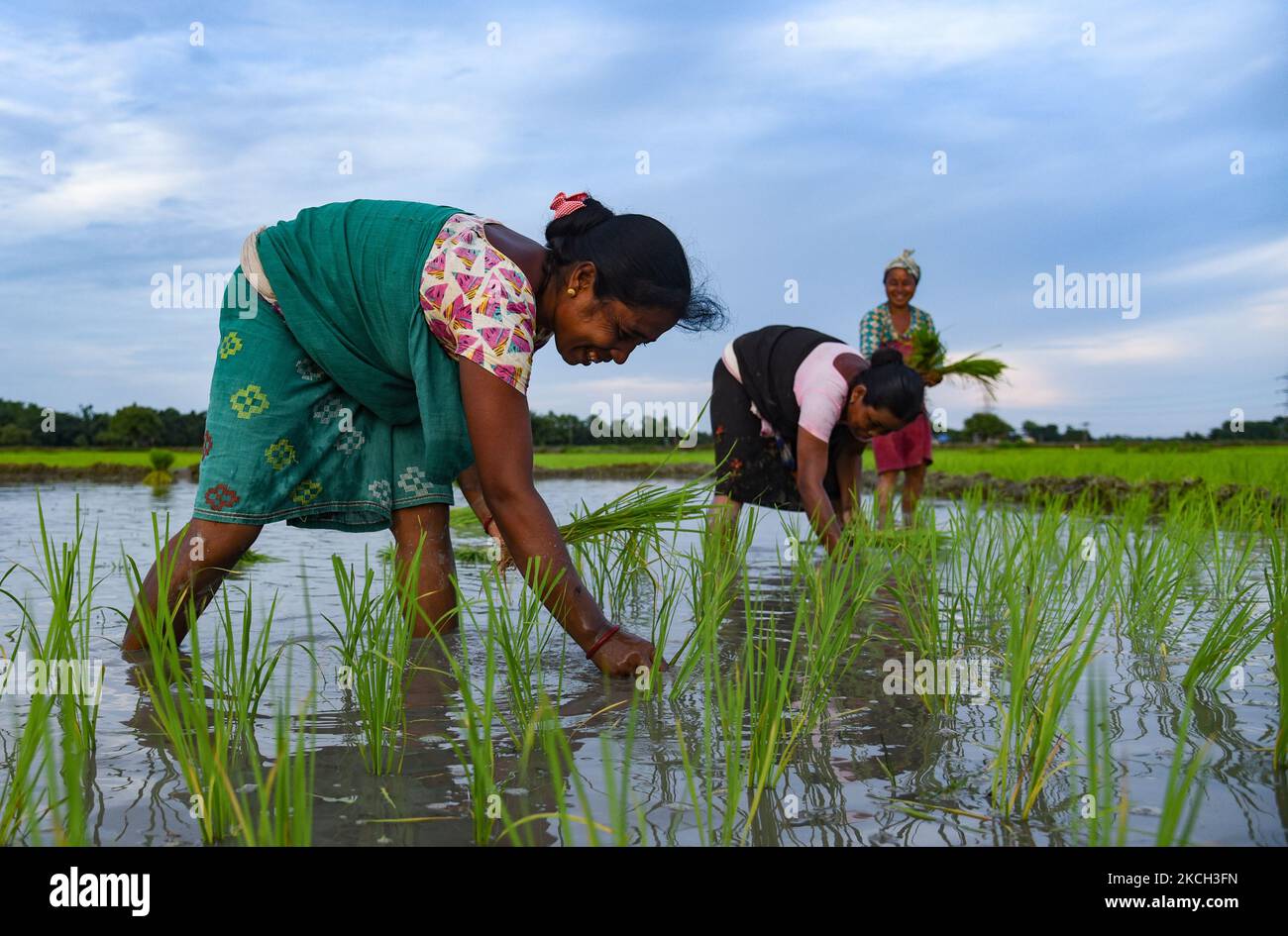 Baghmara village hi-res stock photography and images - Alamy