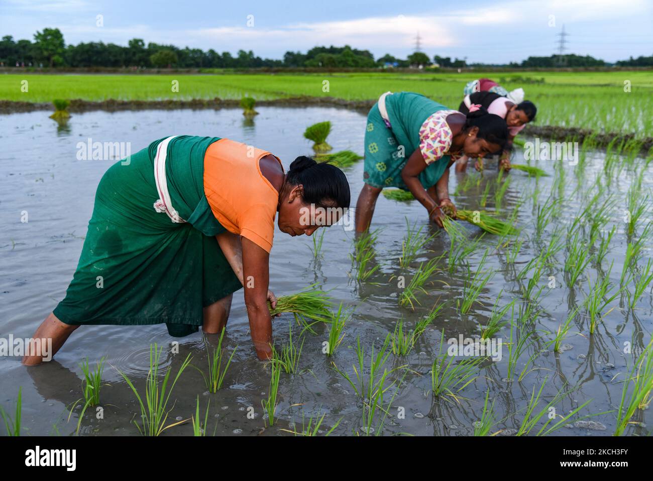 Baghmara village hi-res stock photography and images - Alamy