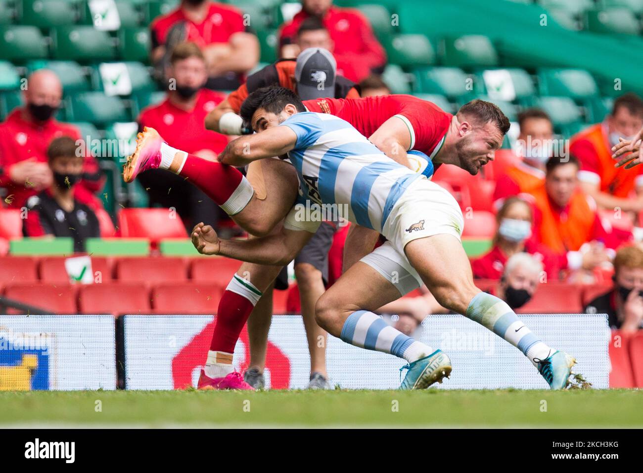 during the 2021 Summer Internationals match between Wales and Argentina ...
