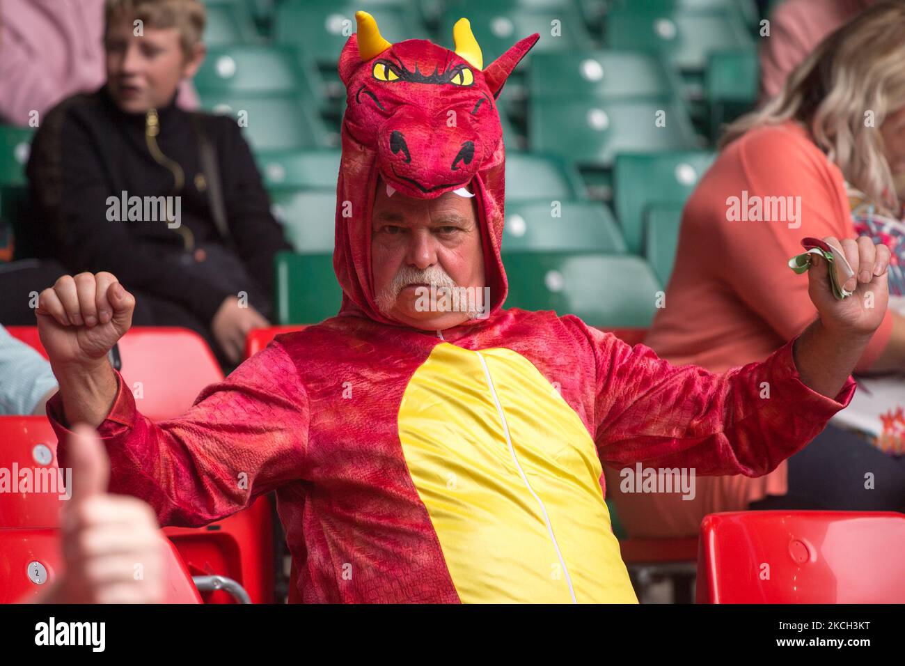 Welsh fan looks on during the 2021 Summer Internationals match between ...