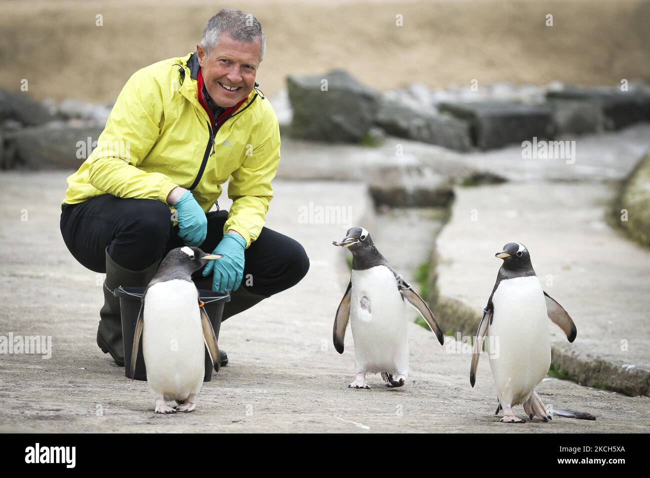 Edinburgh zoo photo hi-res stock photography and images - Alamy
