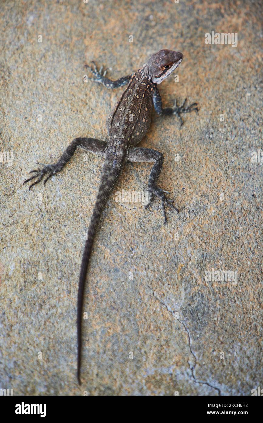 01 july 2010 hi-res stock photography and images - Alamy