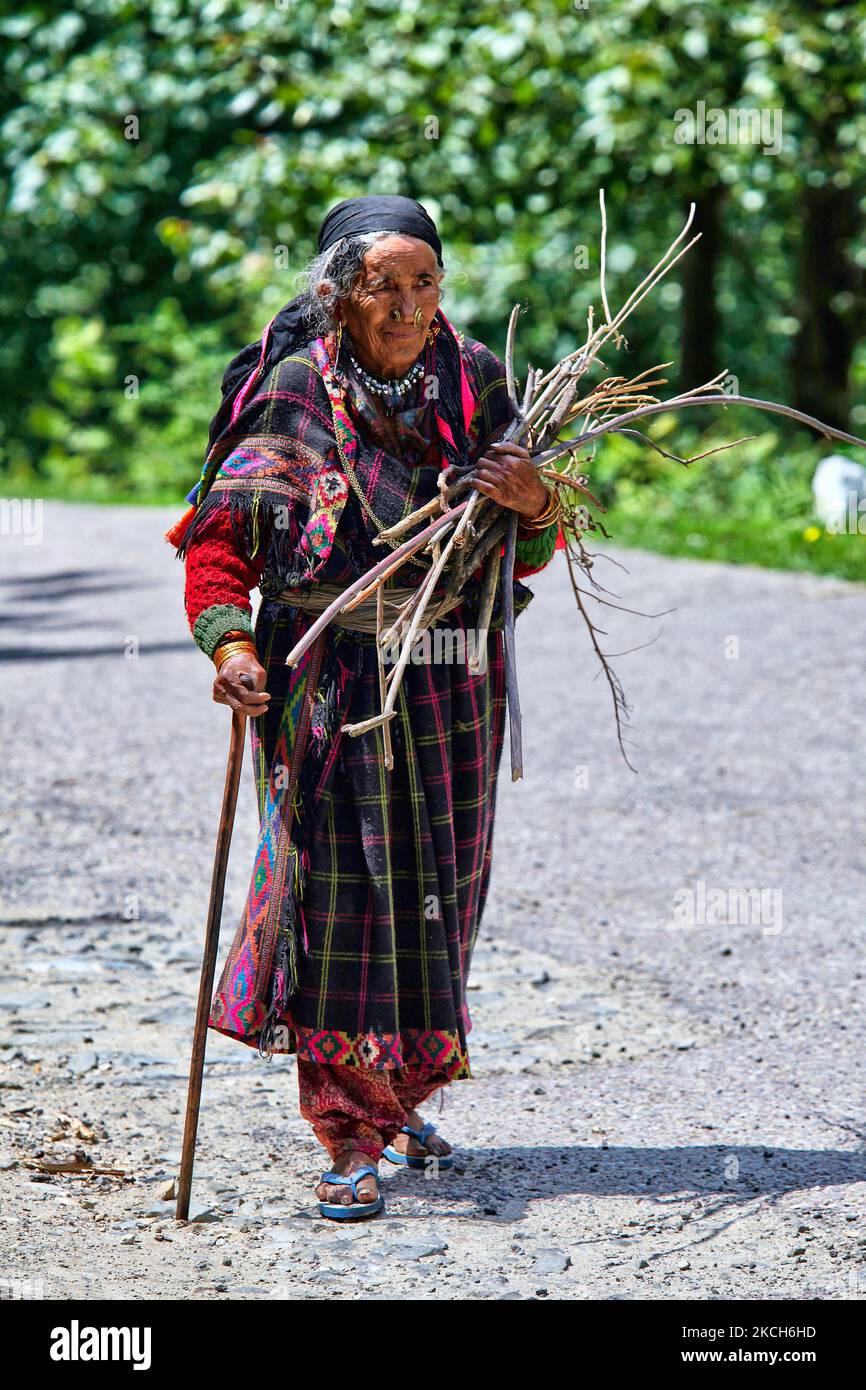 Indian lady with stick walking street india hi-res stock photography ...