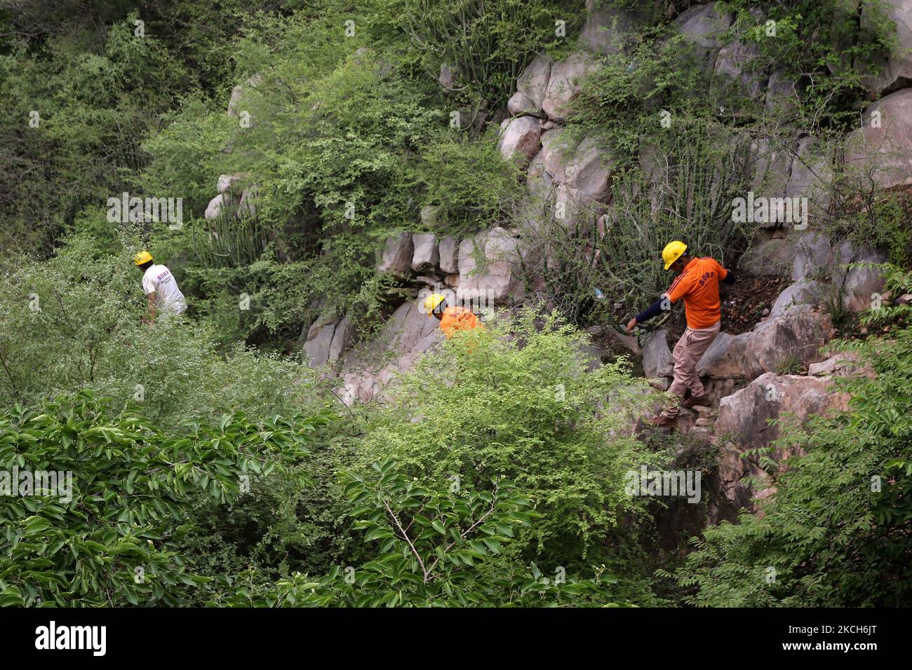 SDRF " State Disaster Response Force " members during search operation ...