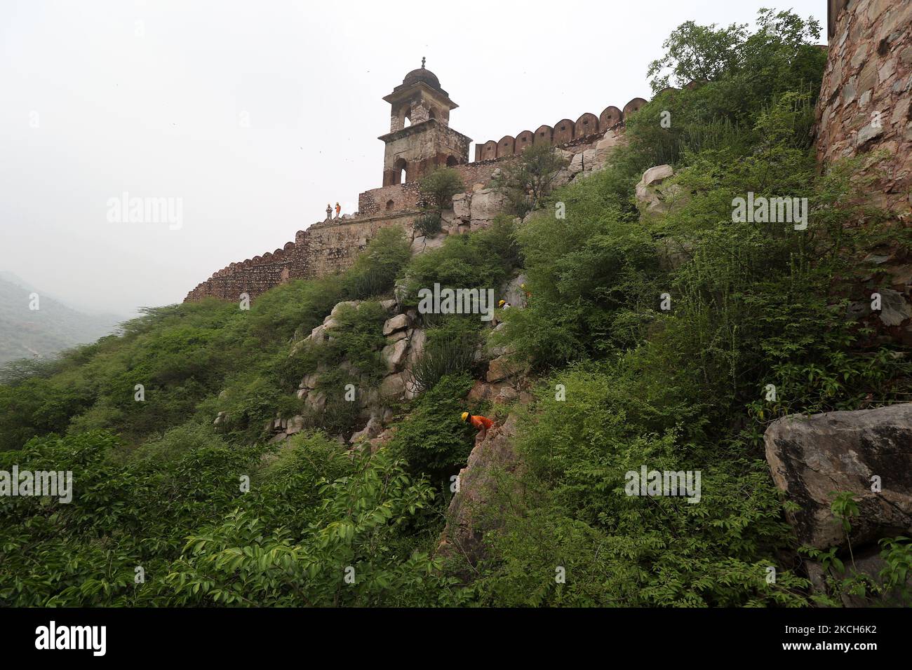 SDRF " State Disaster Response Force " members during search operation ...
