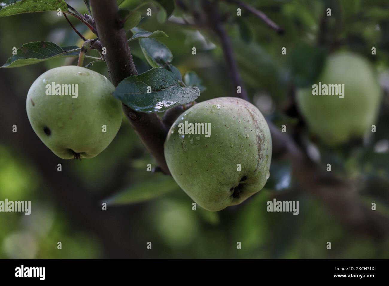 Lakh souls hi-res stock photography and images - Alamy