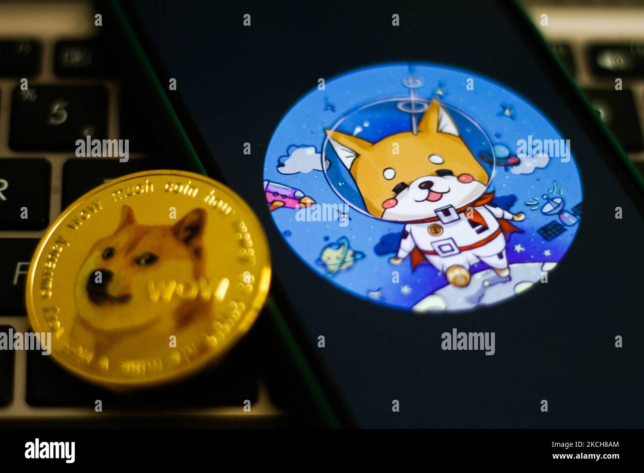 Starlinkdoge hi-res stock photography and images - Alamy