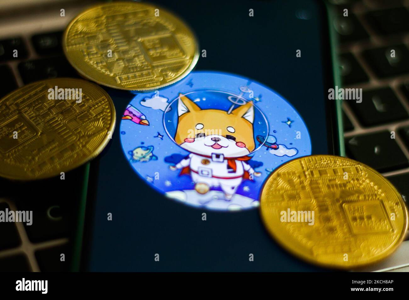 Starlinkdoge hi-res stock photography and images - Alamy