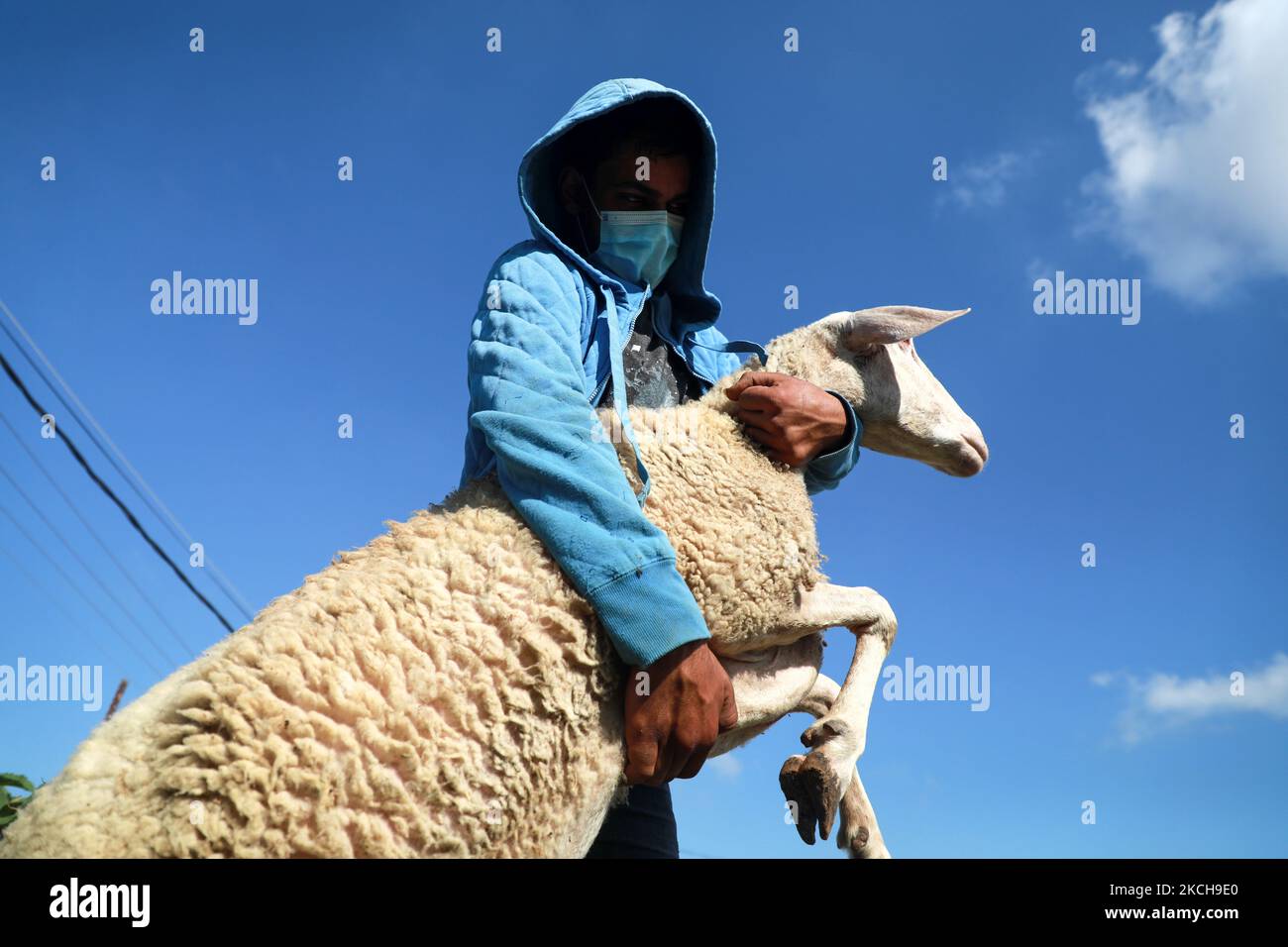 A Palestinian man carries a goat near the rubble houses destroyed by ...