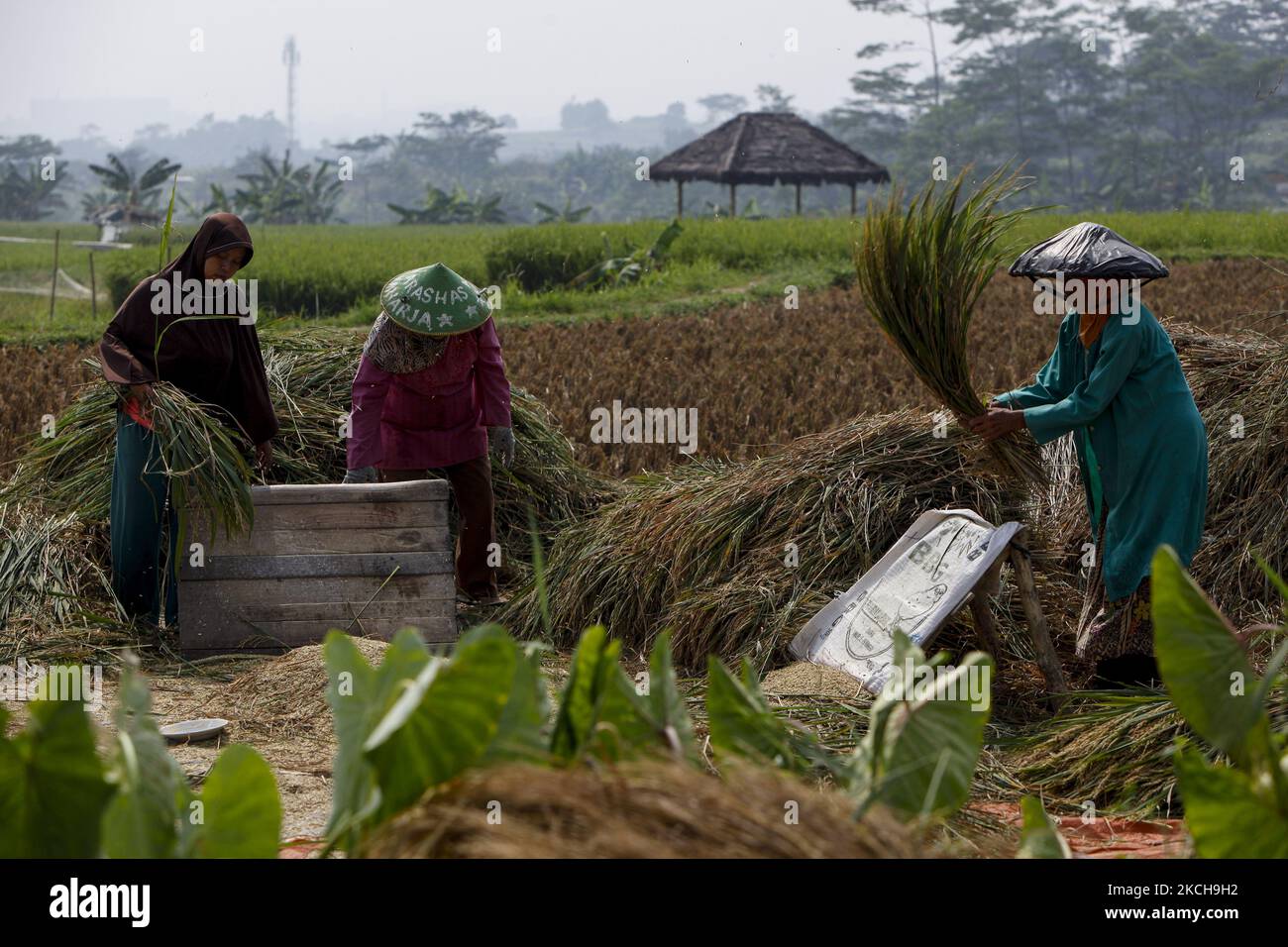Mulyaharja village hi-res stock photography and images - Alamy