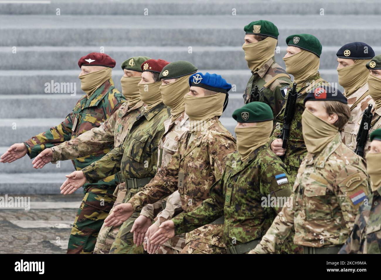 The Troops of Soldiers French, Swedish, Estonian, Czech, Italian ...