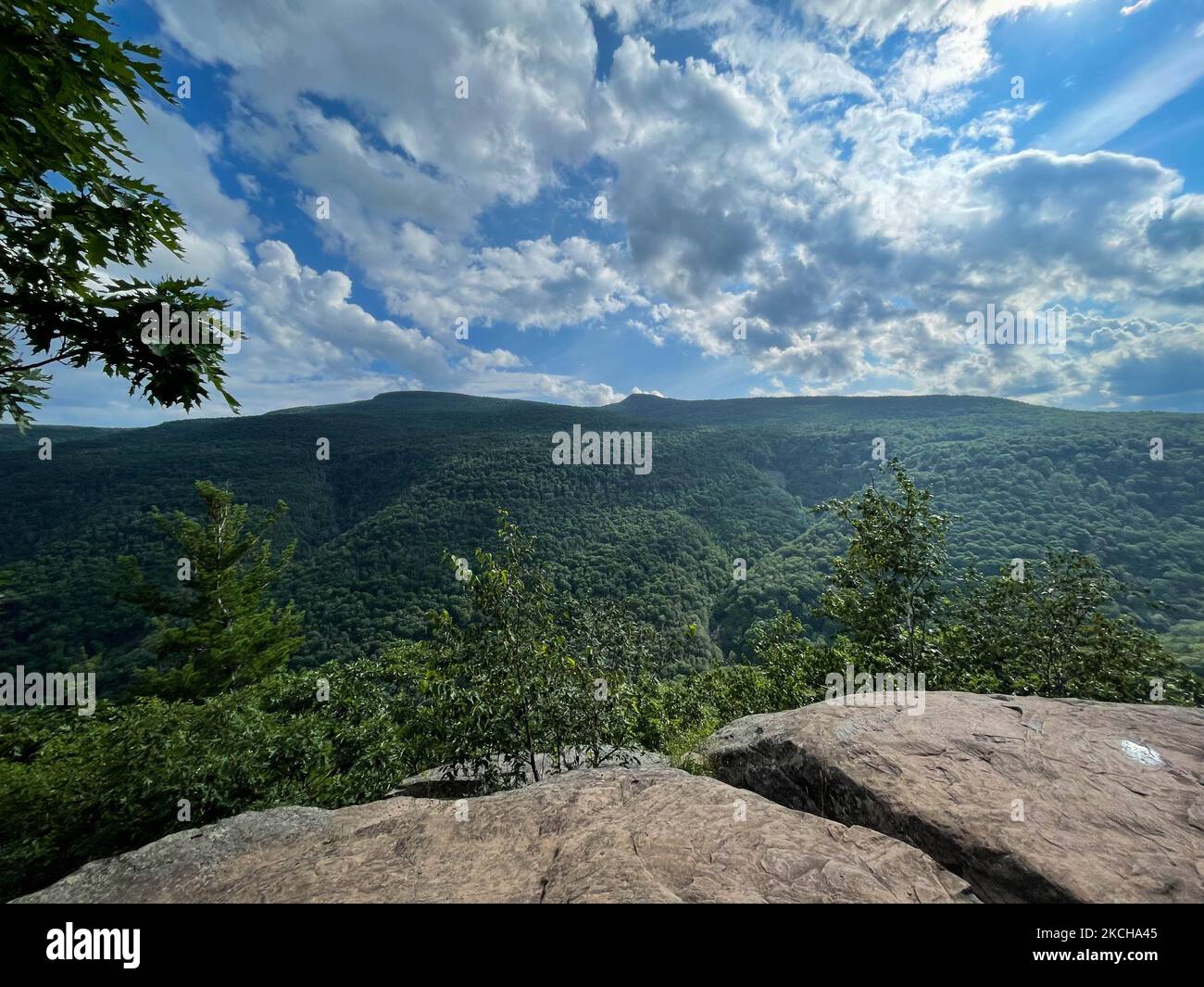 Catsikill hi-res stock photography and images - Alamy