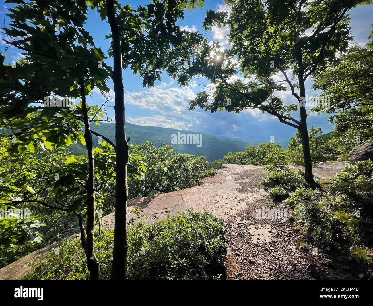 Catsikill hi-res stock photography and images - Alamy