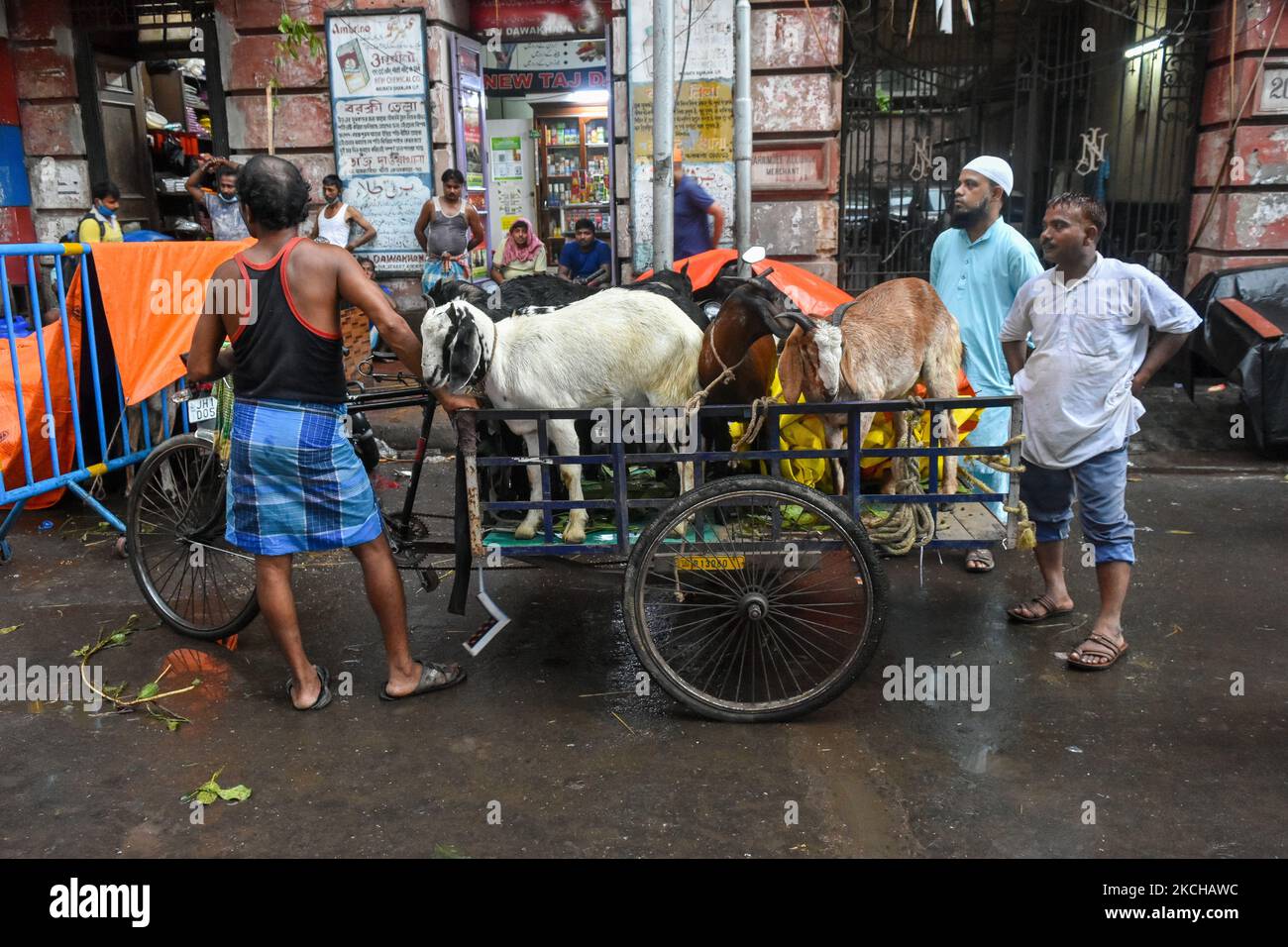 A merchant waits for customers with his lot of goats and lamb for sale ...