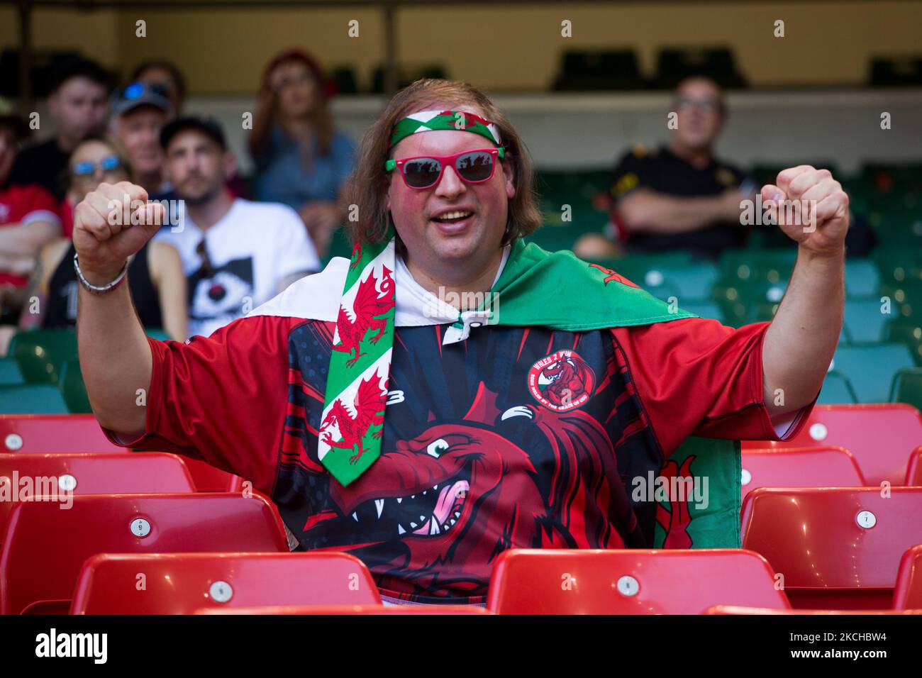 Welsh fan looks on during the 2021 Summer Internationals match between ...