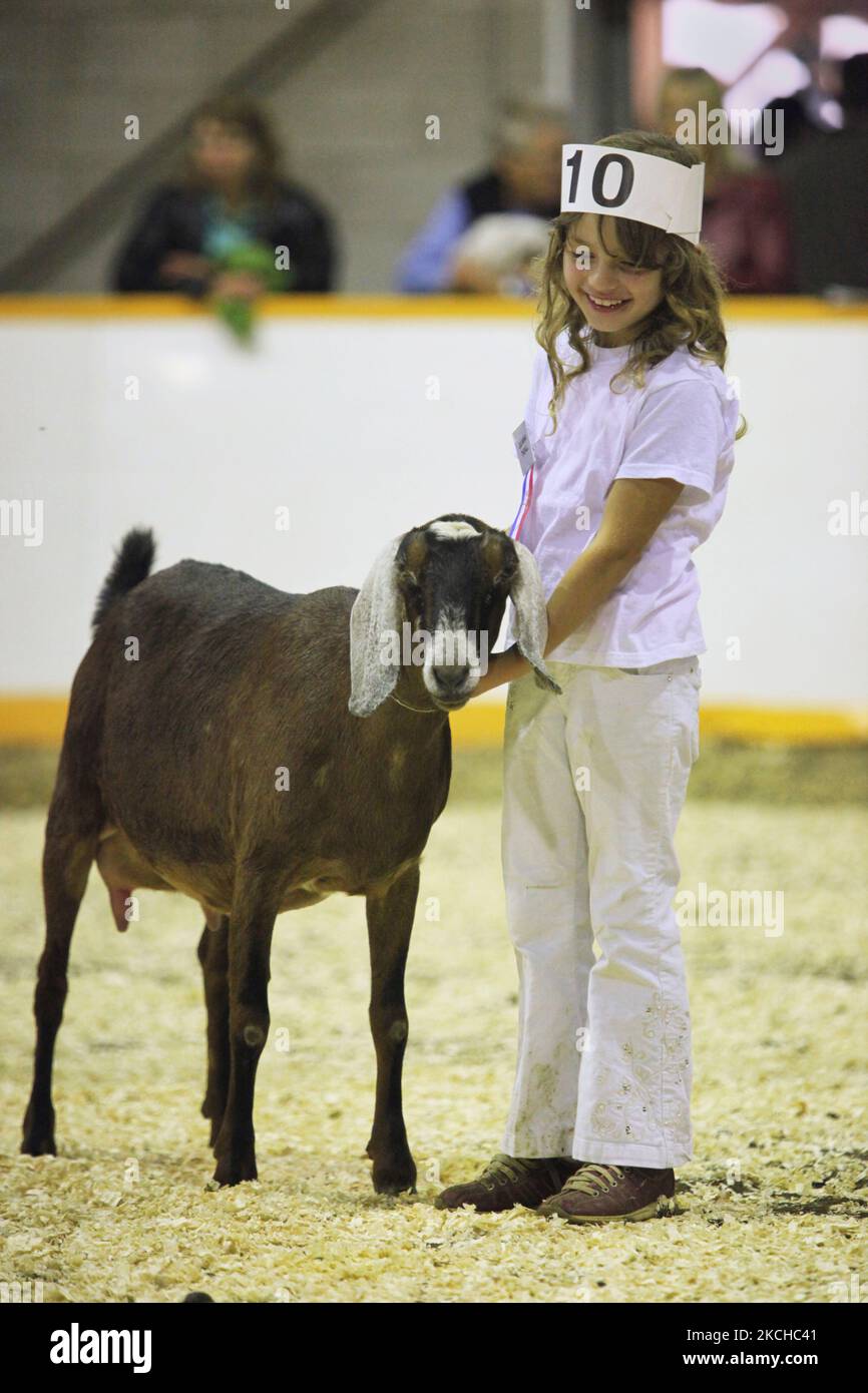 Judging kid contest hi-res stock photography and images - Alamy
