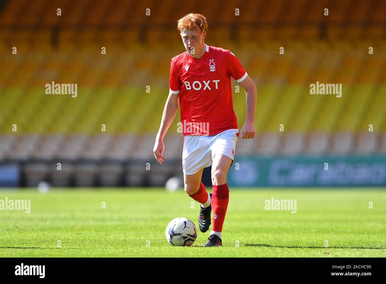 Oliver hammond forest hi-res stock photography and images - Alamy