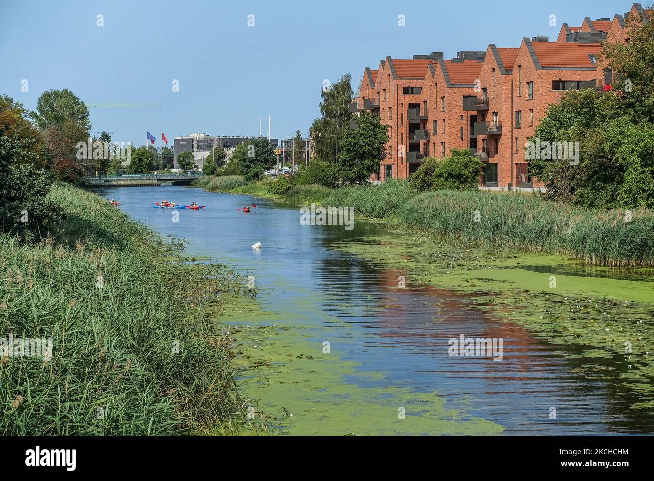 Vastint poland hi-res stock photography and images - Alamy