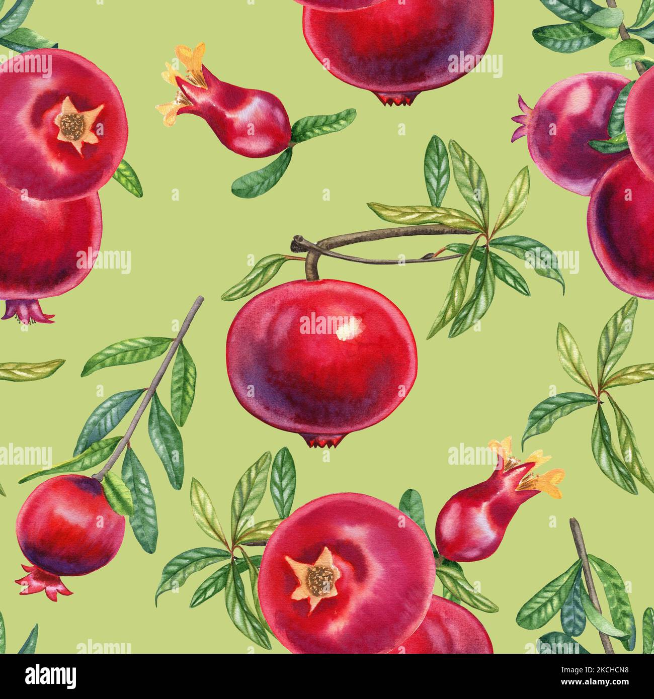 Pomegranates on a branch watercolor seamless pattern. Hand drawn ...