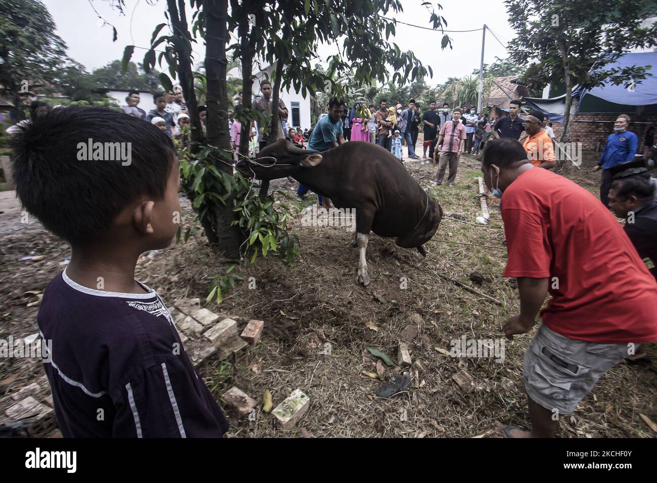 Eid al adha coronavirus hi-res stock photography and images - Alamy