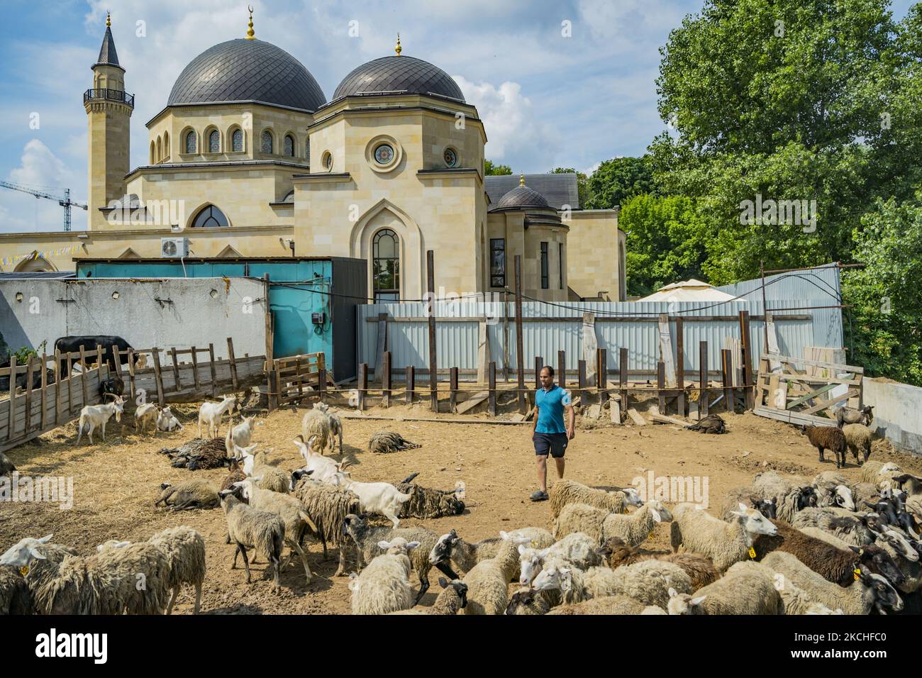 A man choses a lamb for the sacrifice of Eid Al-Adha near the Ar-Rahma ...