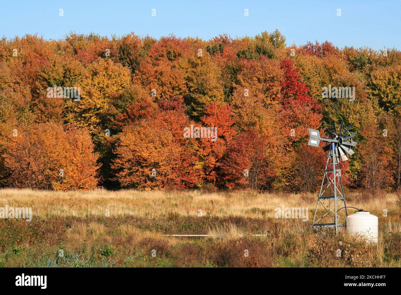 Trees changing colours on the farm during the autumn season in Guelph ...