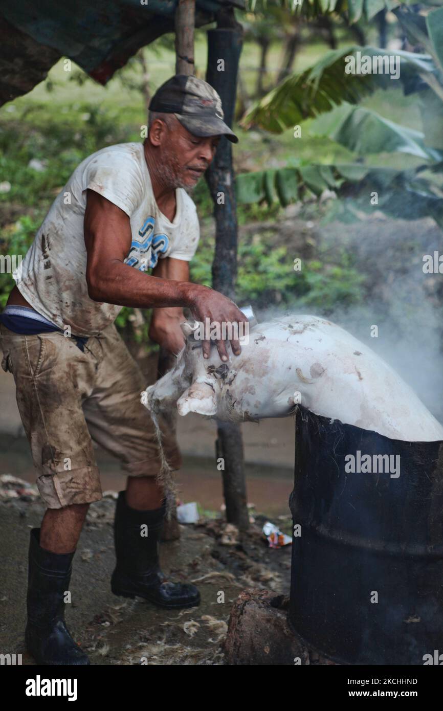 Rural dominican man portrait hi-res stock photography and images - Alamy