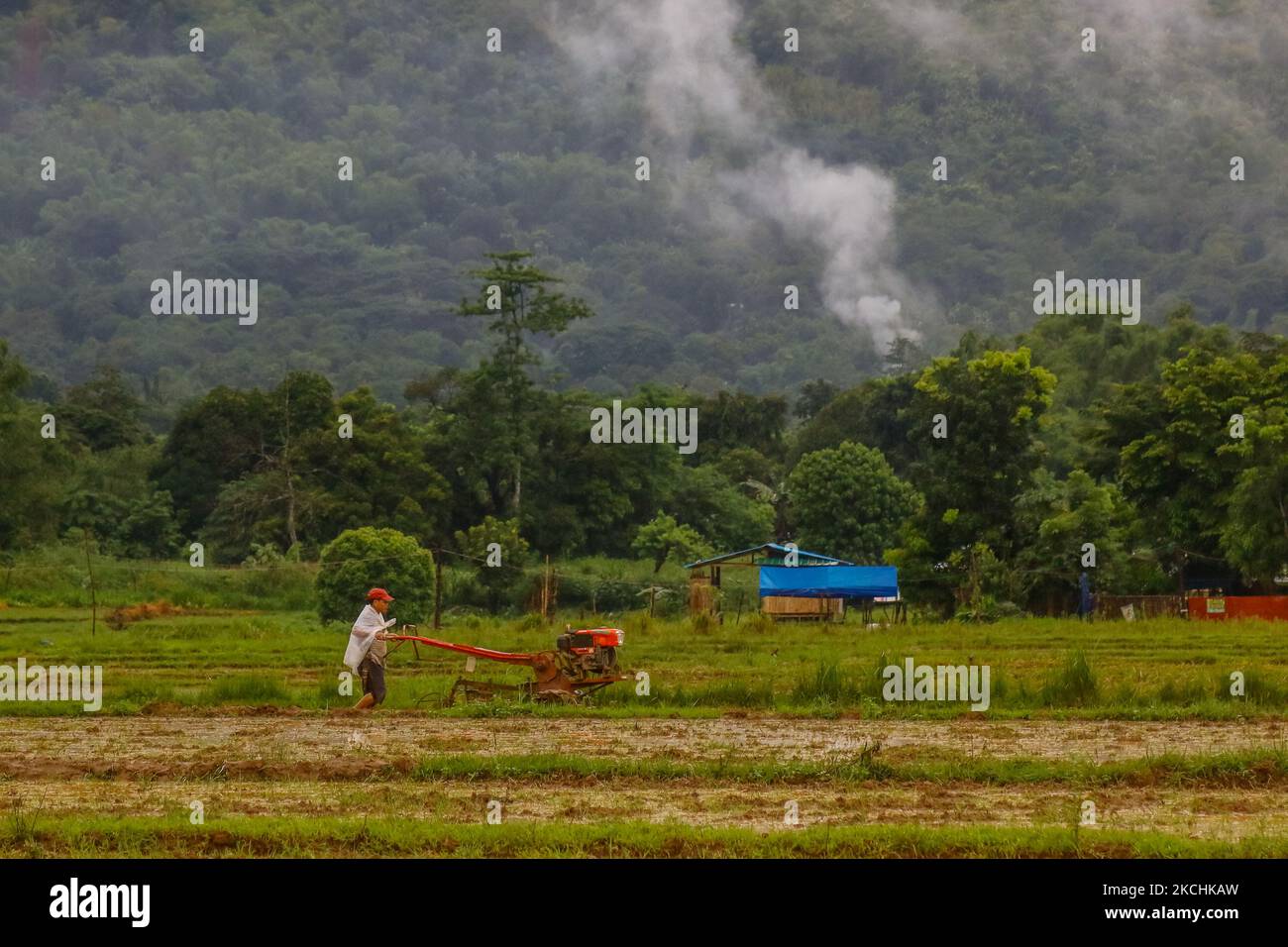 Rice farmers of Calawis in Antipolo City, Philippines are plowing the ...