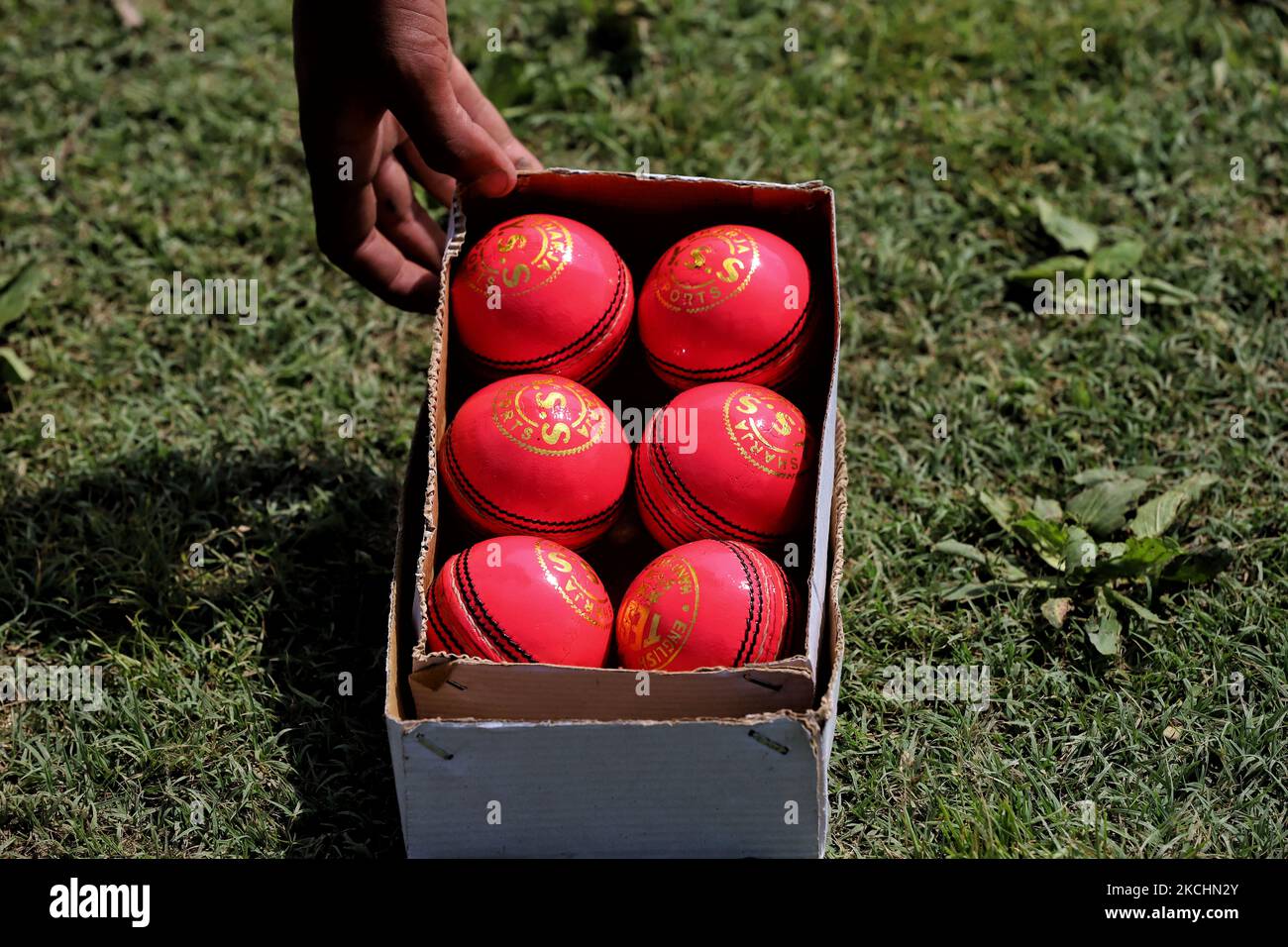 A Boy picks up a box Filled with Pink Cricket balls during a match at ...
