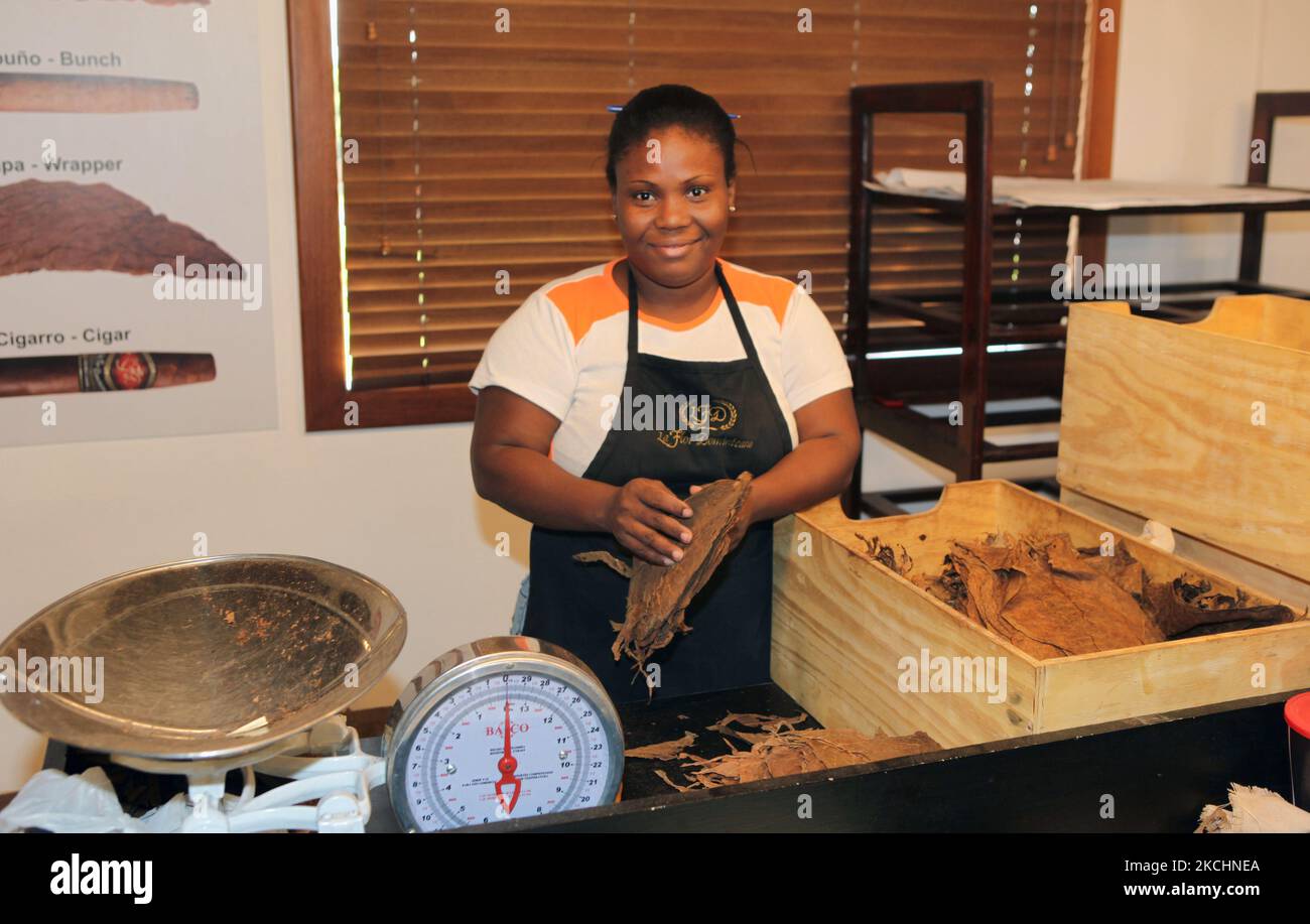 Dry leaf weighs in on hi-res stock photography and images - Alamy