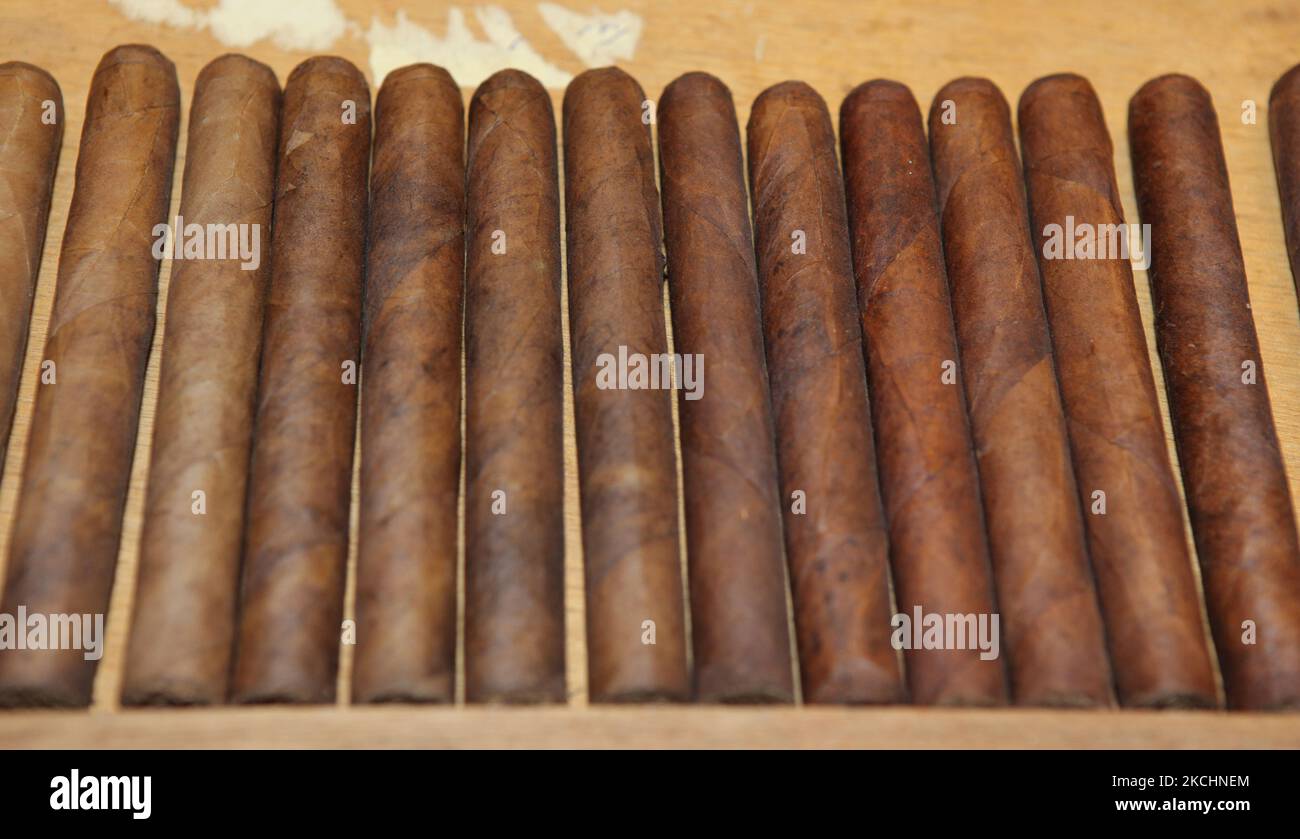 Long filler cigars hi-res stock photography and images - Alamy